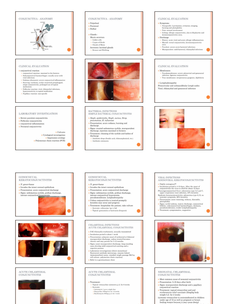 Conjunctiva, Episclera, and Sclera-Ayşe Ebru Bahadır (Ovdrp-500) | PDF | Ophthalmology | Immunology