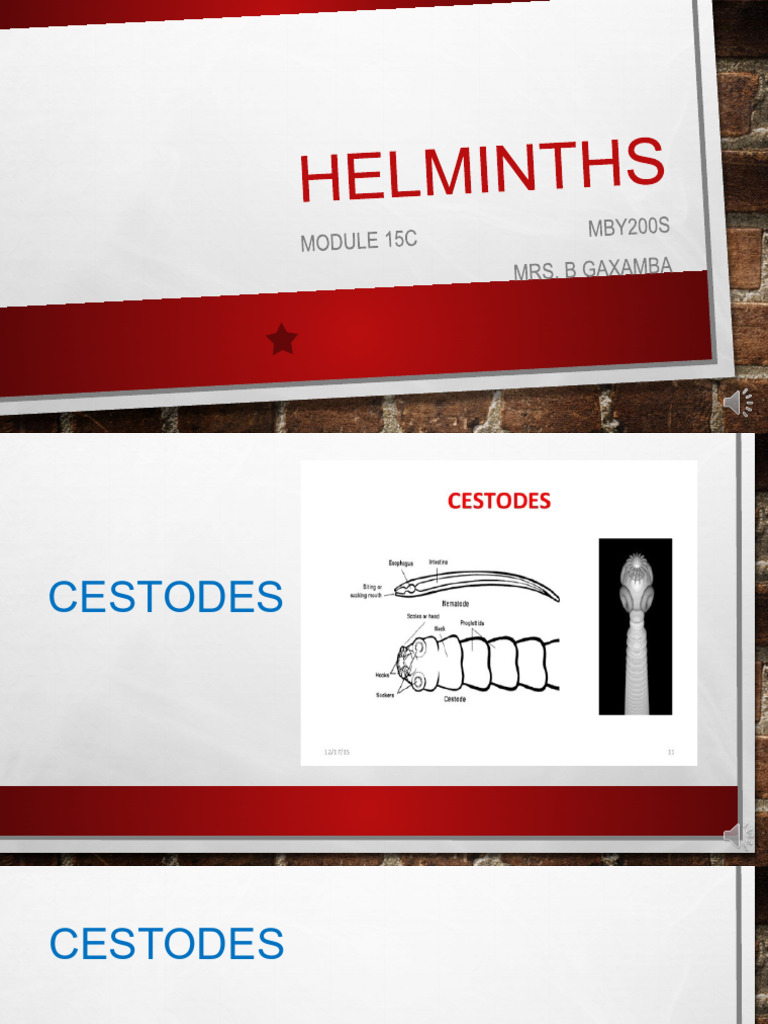 Understanding Cestodes: Tapeworm Biology | PDF | Clinical Medicine ...