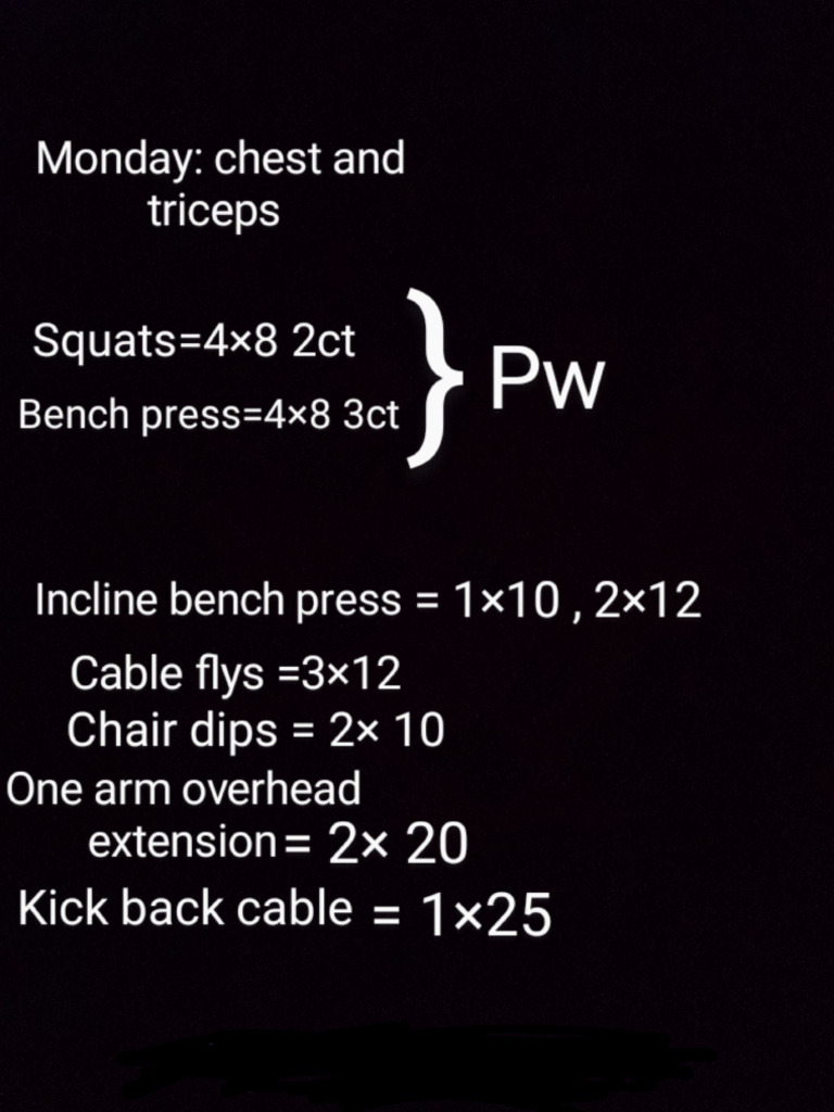 Ayan It's Self Beast in 6 Months Workout Plan | PDF