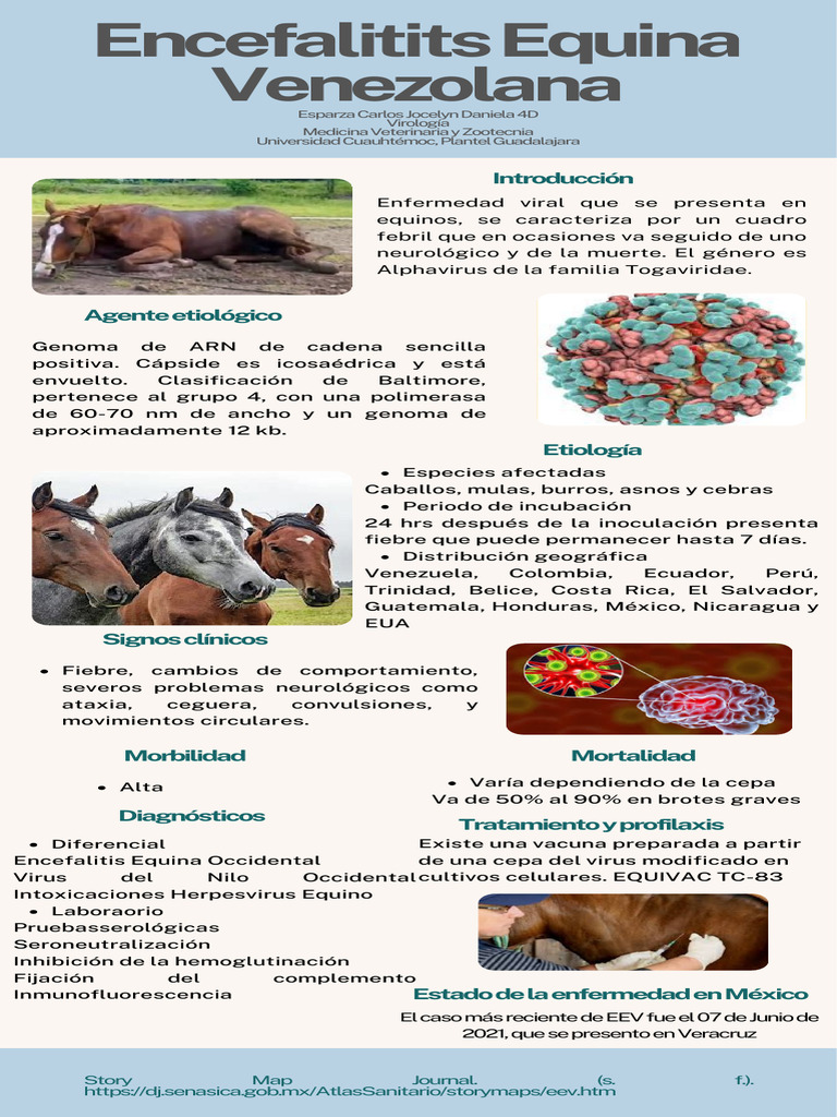 Encefalitis Equina Venezolana: Análisis | PDF | Virus | Organismos