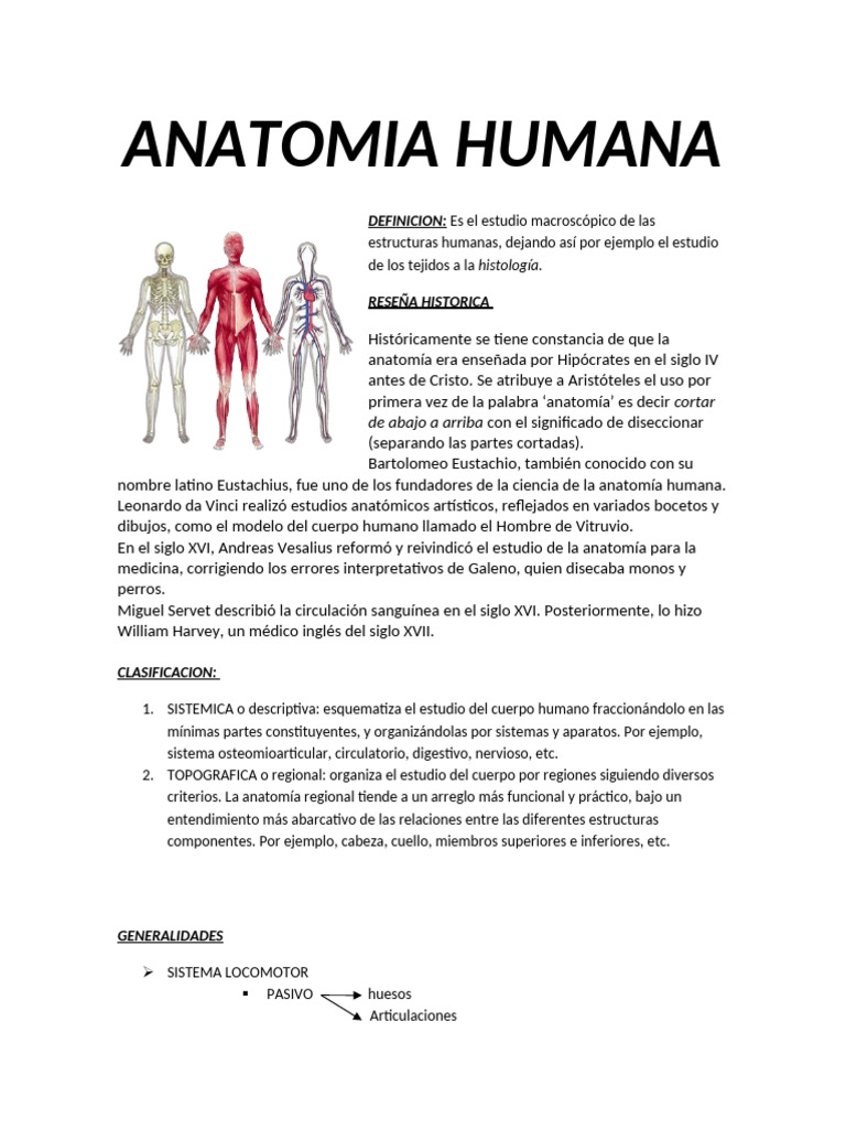 GENERALIDADES Anatomia | PDF | Anatomía | Términos anatómicos de ubicación