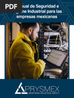 Pirámide de Kelsen, Seguridad e Higiene Industrial | PDF | México | Derecho laboral