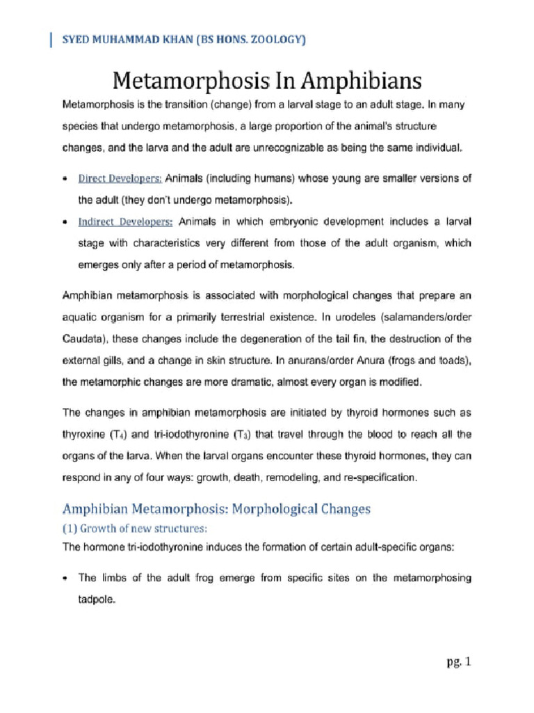 Metamorphosis in Amphibians | PDF