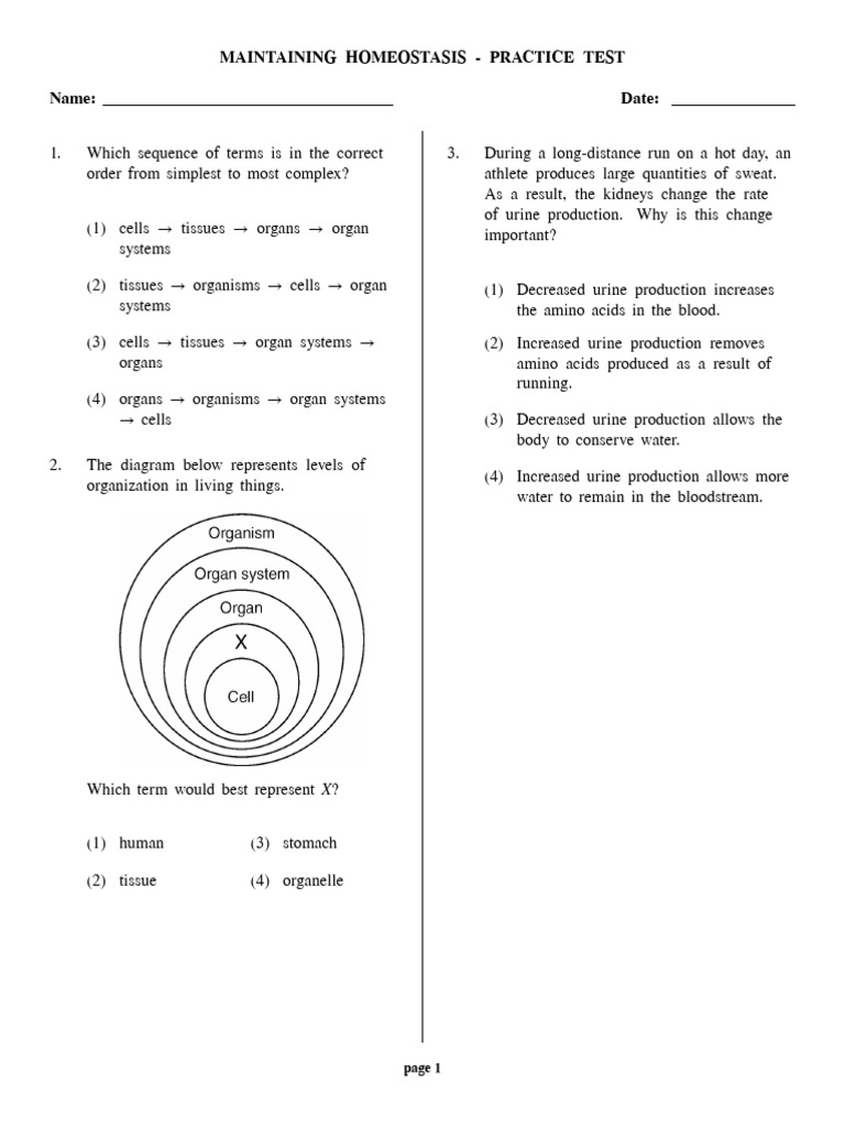 MAINTAINING HOMEOSTASIS PRACTICE TEST-no Answer Key2 | PDF | Infection ...