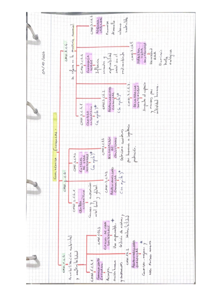 Esquema Sociales 4 | PDF
