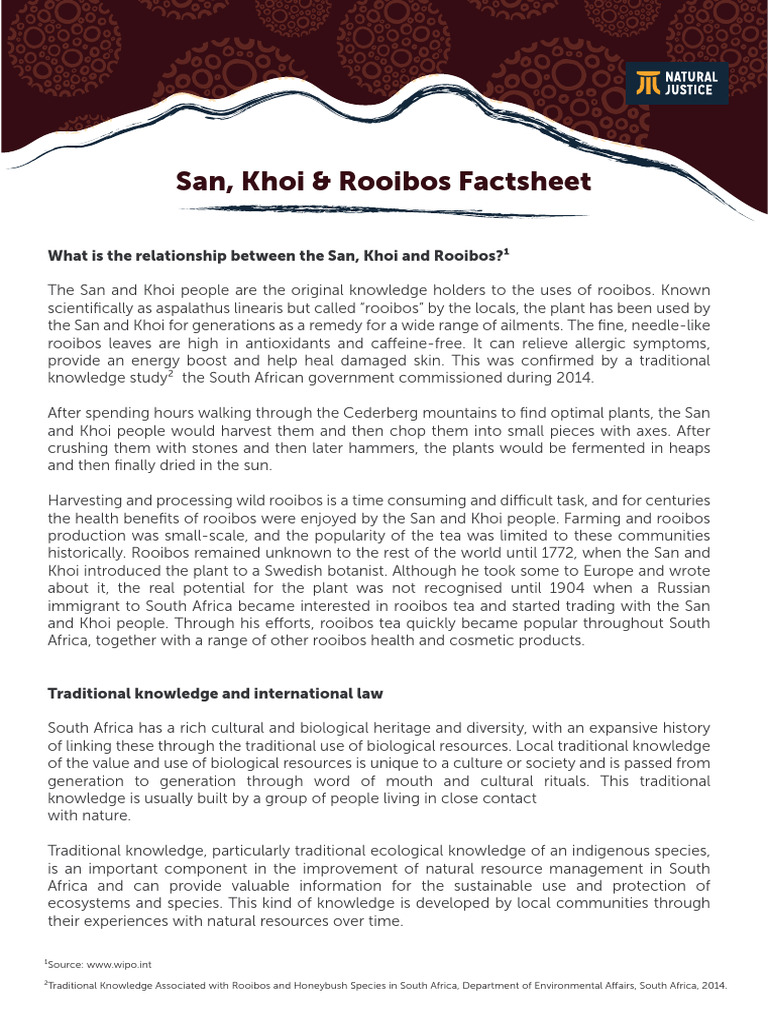 San Khoi Rooibos Factsheet | PDF | Biodiversity | Traditional Knowledge