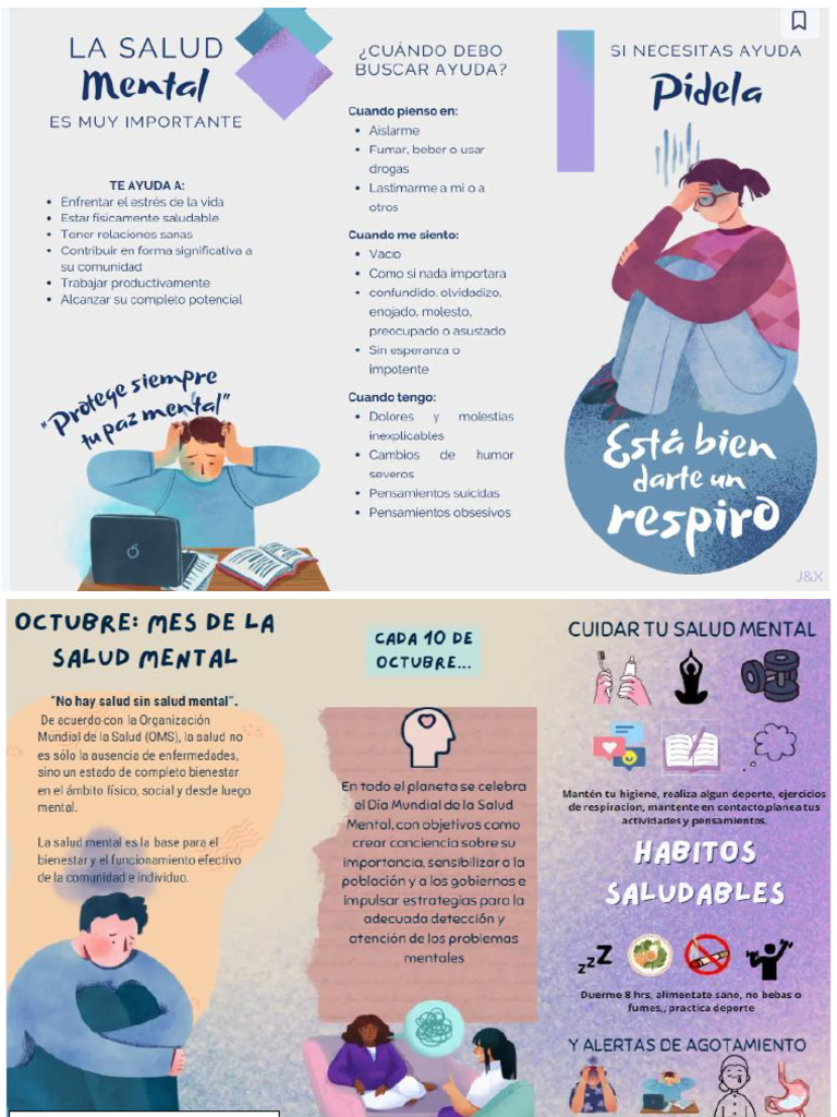 Triptico Salud Mental - Vizcachera | PDF