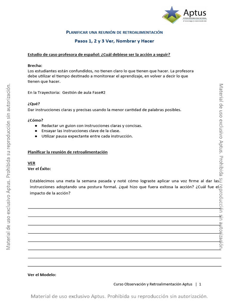 Plantilla Planificar Ver, Nombrar y Hacer | PDF | Cognición | Aprendizaje
