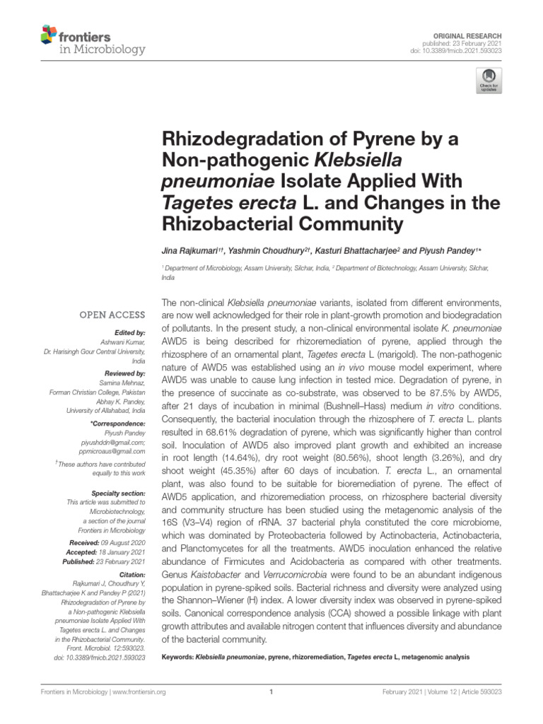 Rhizodegradation of Pyrene by A Non-Pathogenic Isolate Applied With L ...