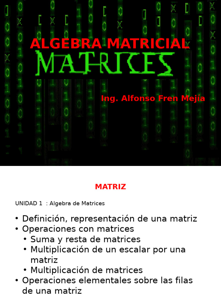 1.1 Ã Lgebra Matricial | PDF | Matriz (Matemáticas) | Multiplicación