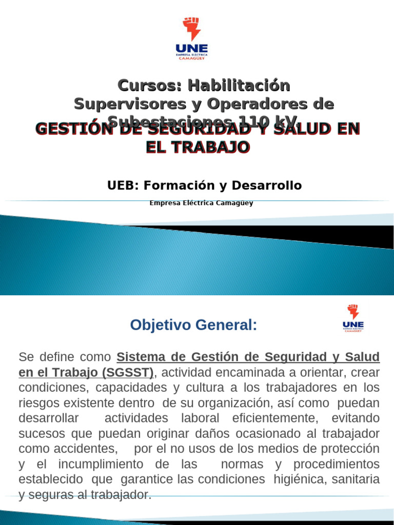 Seguridad en Subestaciones 110 kV | PDF | Bienestar | Valores