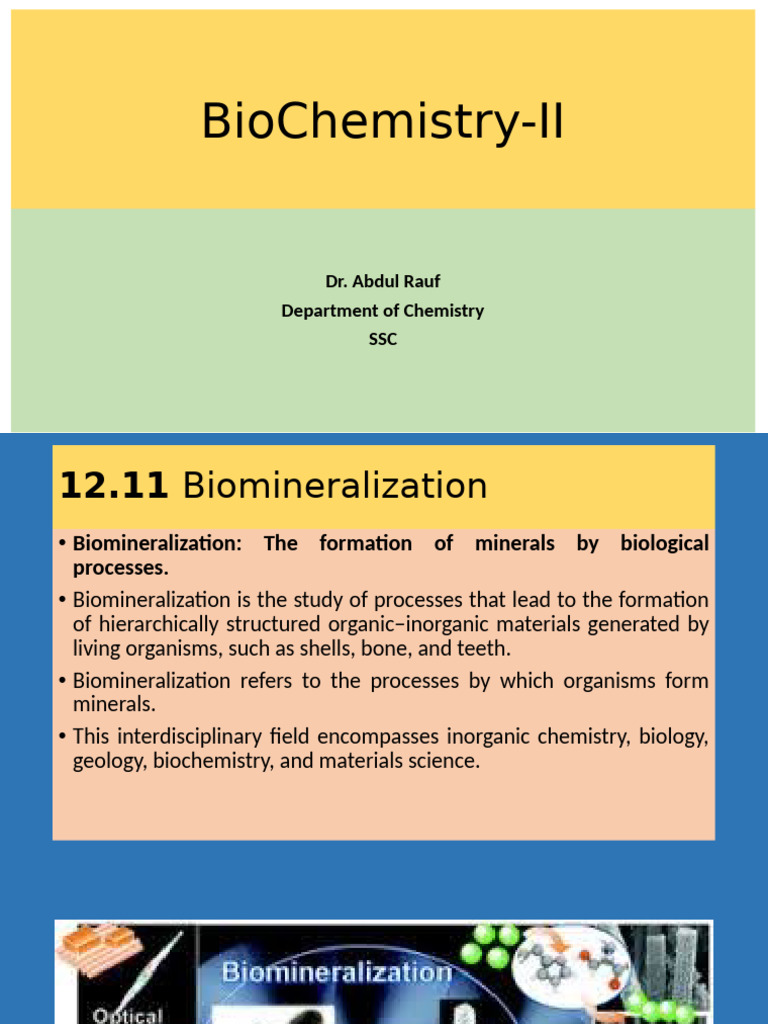 Biomineralization Functions & Uses | PDF