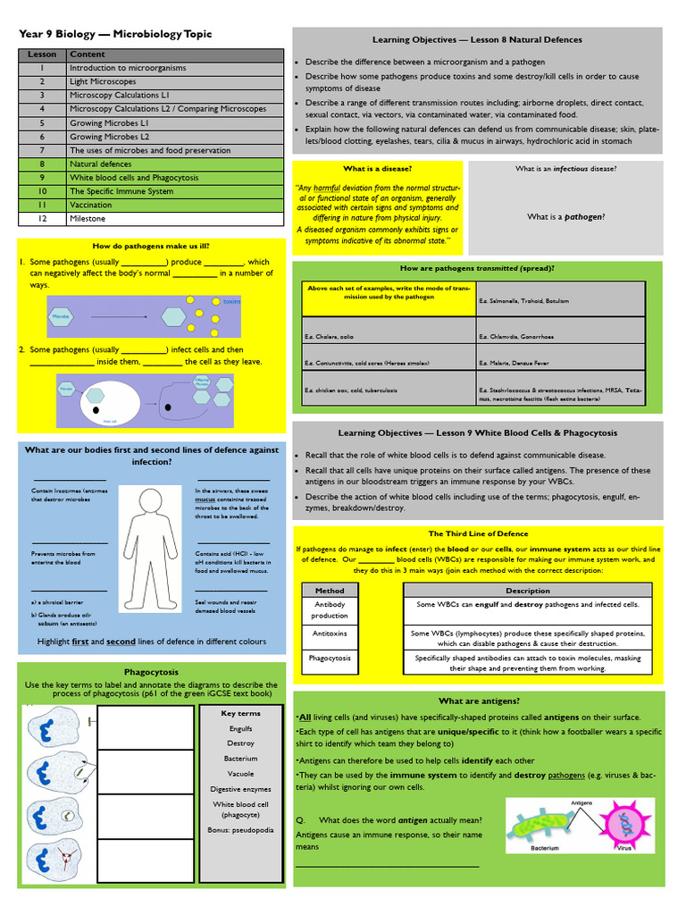 Year 9 Defence Against Disease Summary Sheets | PDF | Vaccines | Immune ...