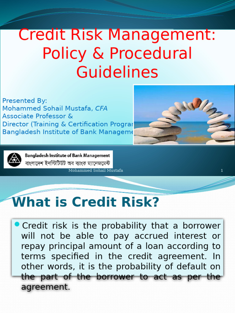 Credit Risk Management Principles - ICRRS - Mohammed Sohail Mustafa ...