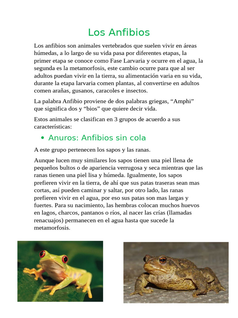 Los Anfibios | PDF | Anfibio | Rana