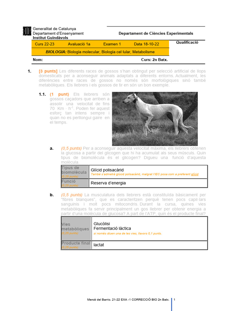 22-23 EXA-2 CORRECCIÓ BIO 2n BATX Metabolisme | PDF