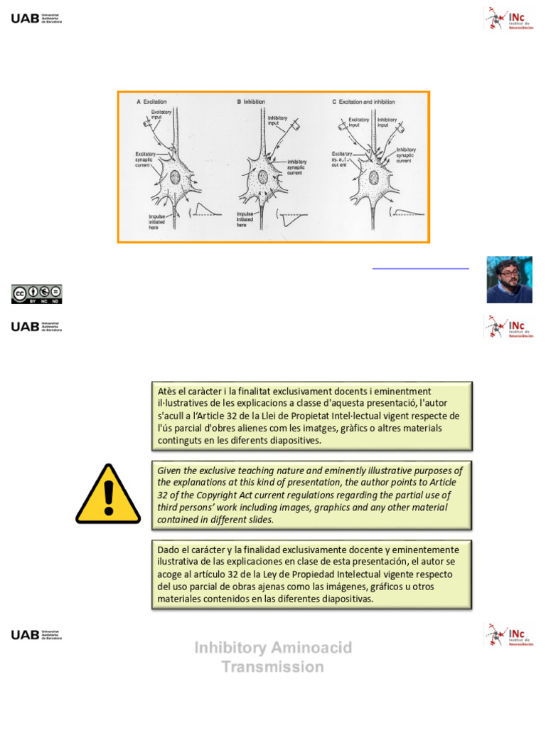 6 - Inhibitory AAs 2024-25 | PDF | Inhibitory Postsynaptic Potential ...