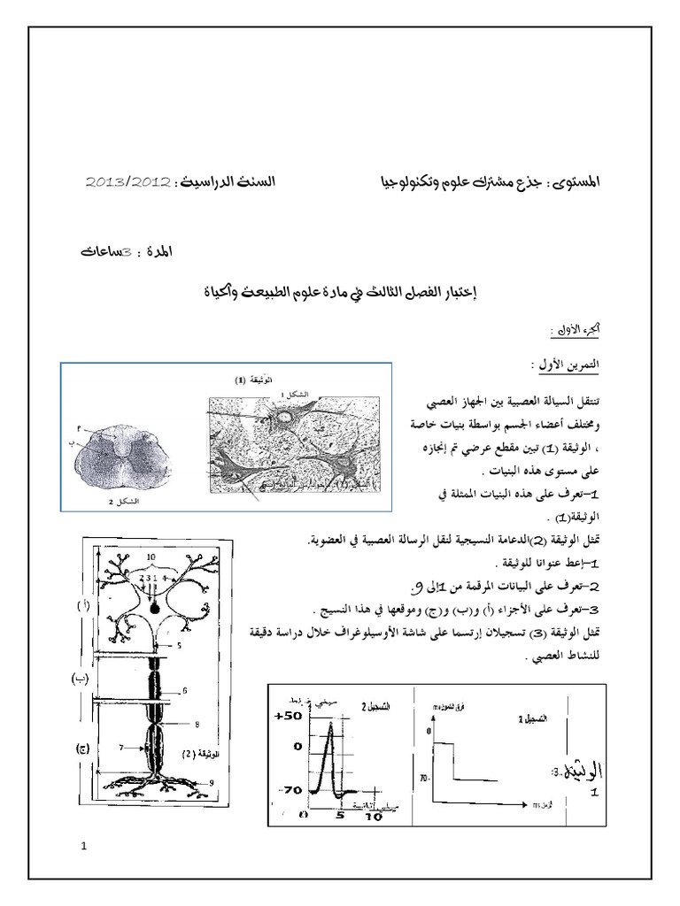 Dzexams 1as Sciences 932680 | PDF