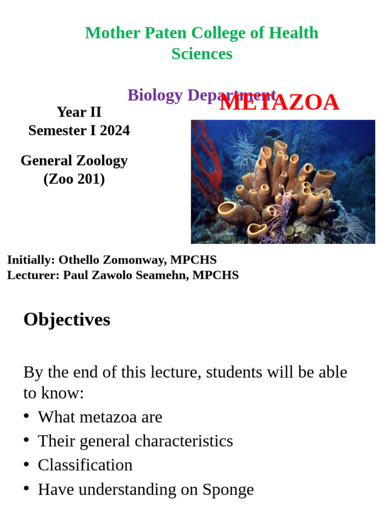 Lecture #3 | PDF | Sponge | Embryo