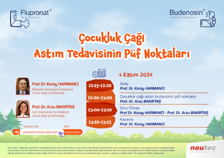 Budenosin Flupronat | PDF