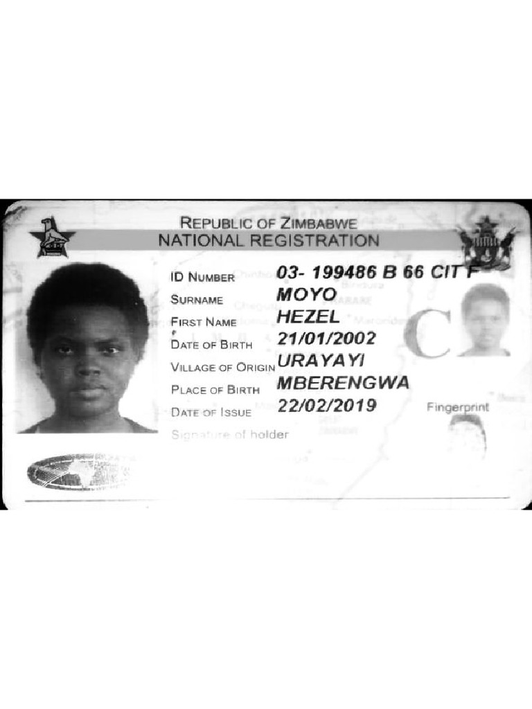 Hezel Moyo Docs | PDF