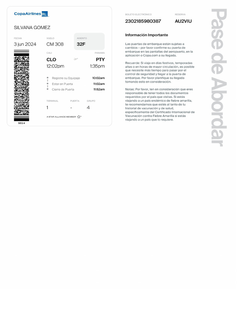 Boardingpass 1 | PDF