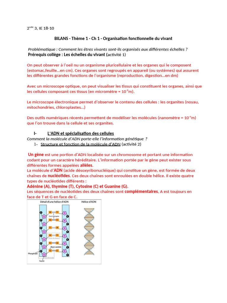 2nde 3 Bilan Pour 18-10-22 | PDF | Cellule (Biologie) | ADN