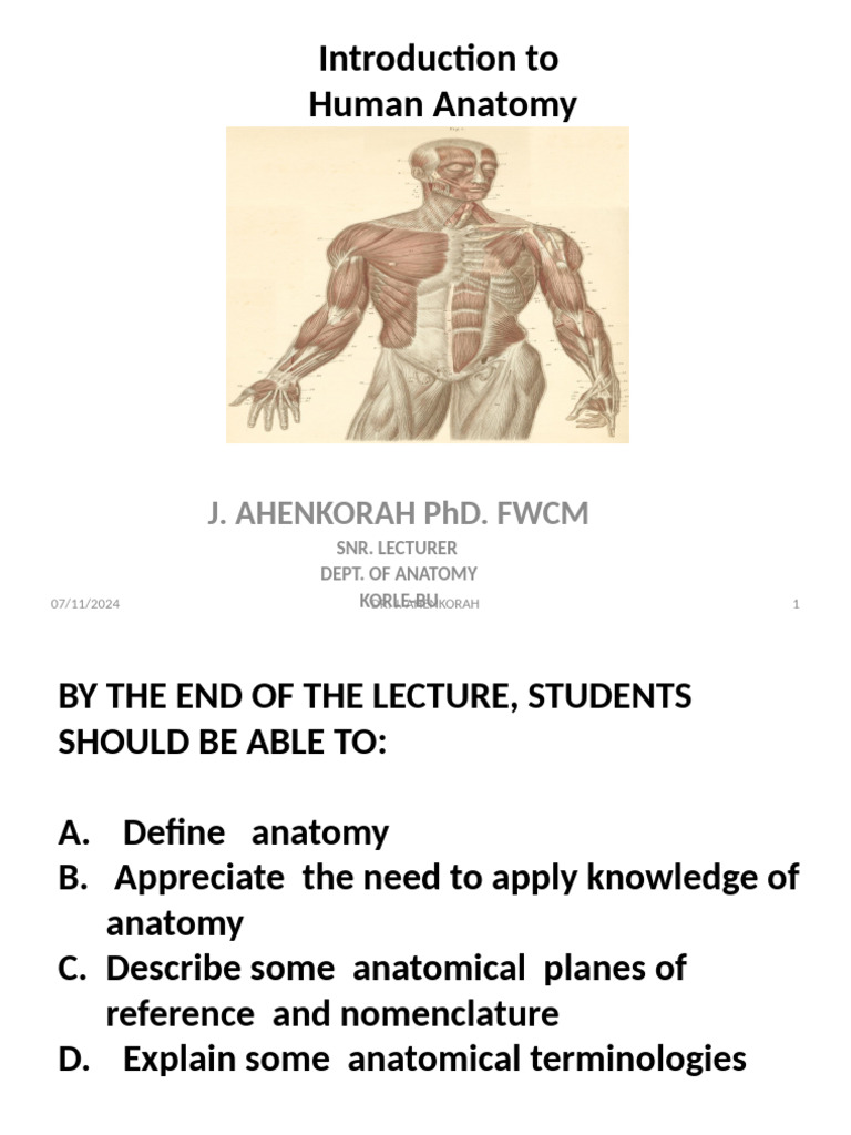 Introduction To ANATOMY LEVEL 100 | PDF | Anatomical Terms Of Location ...