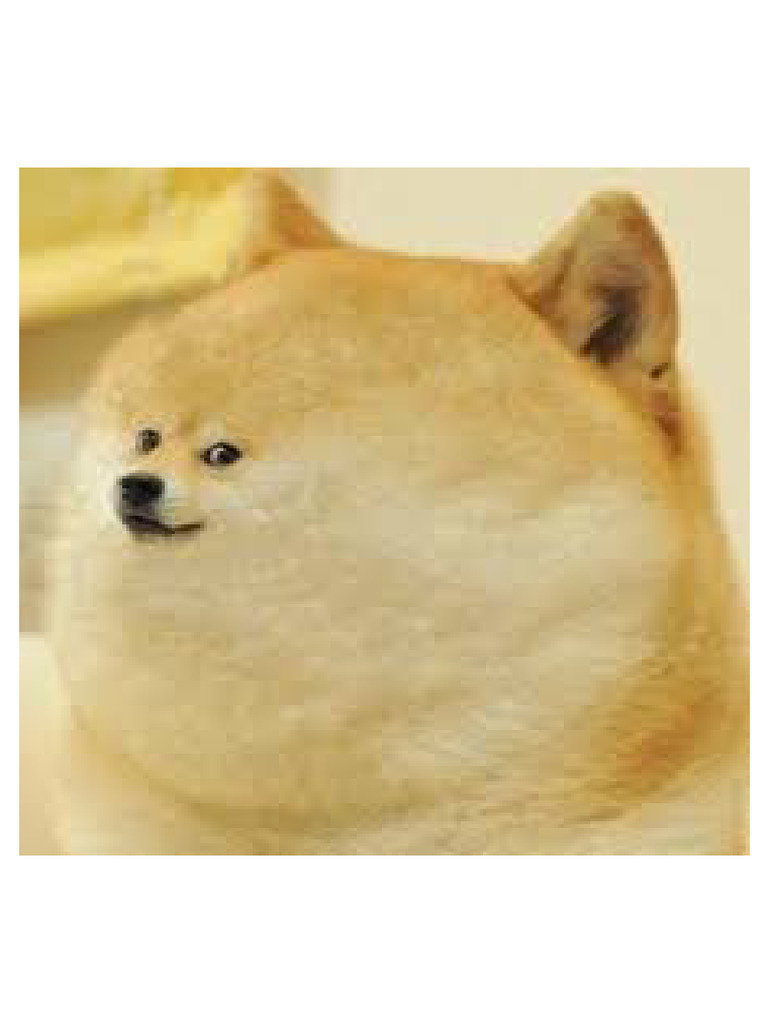 Doge The Best | PDF