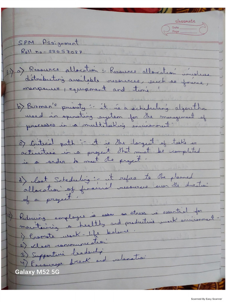 SPM Assignment 22057087 | PDF