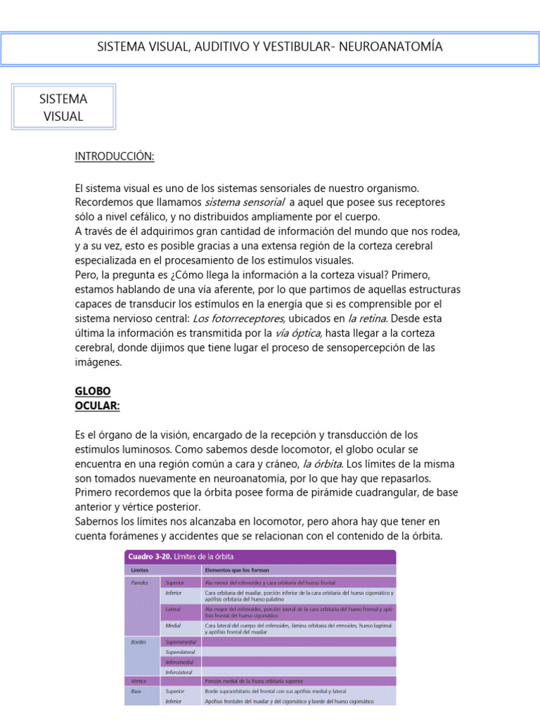 Sistema Visual, Auditivo y Vestibular 1 | PDF | Percepción visual | Ojo ...