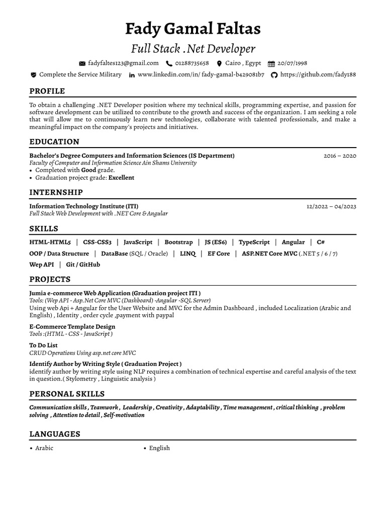 Full Stack .NET Developer Profile | PDF