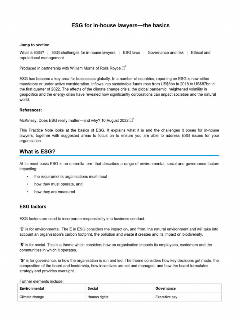 ESG For in House The Basics | PDF
