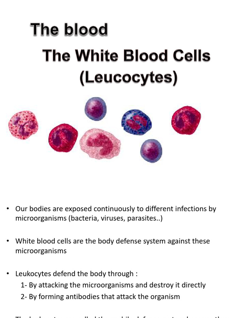 Blood 3-White Blood Cells and Immunity(Lecture 3) | PDF | White Blood Cell | Immune System