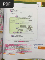 Class 12 Biology Ncert Index | PDF