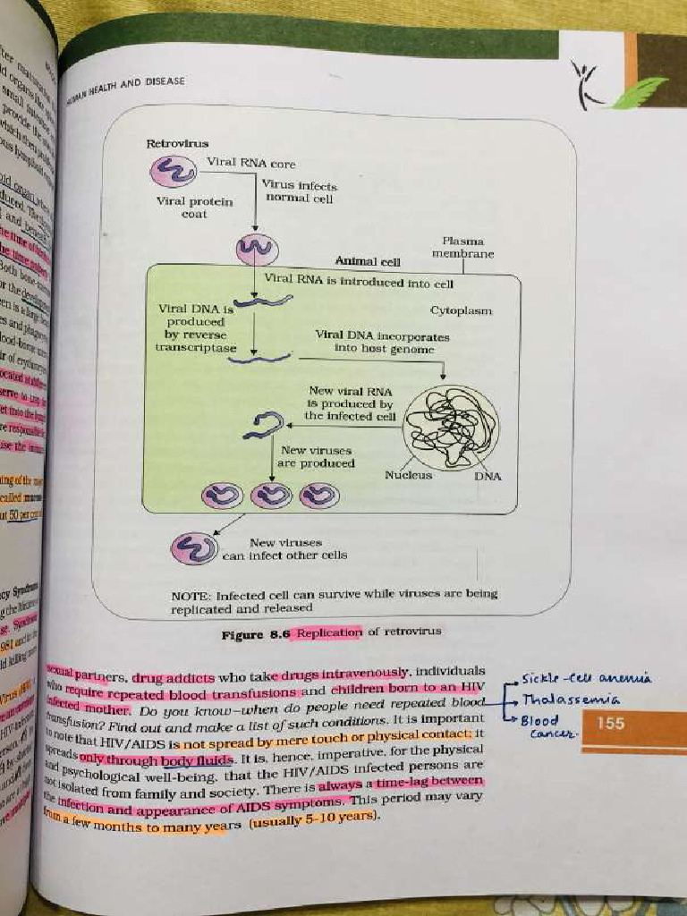 HUMAN HEALTH & DISEASES (NCERT HIGHLIGHTS-01) - Compressed | PDF