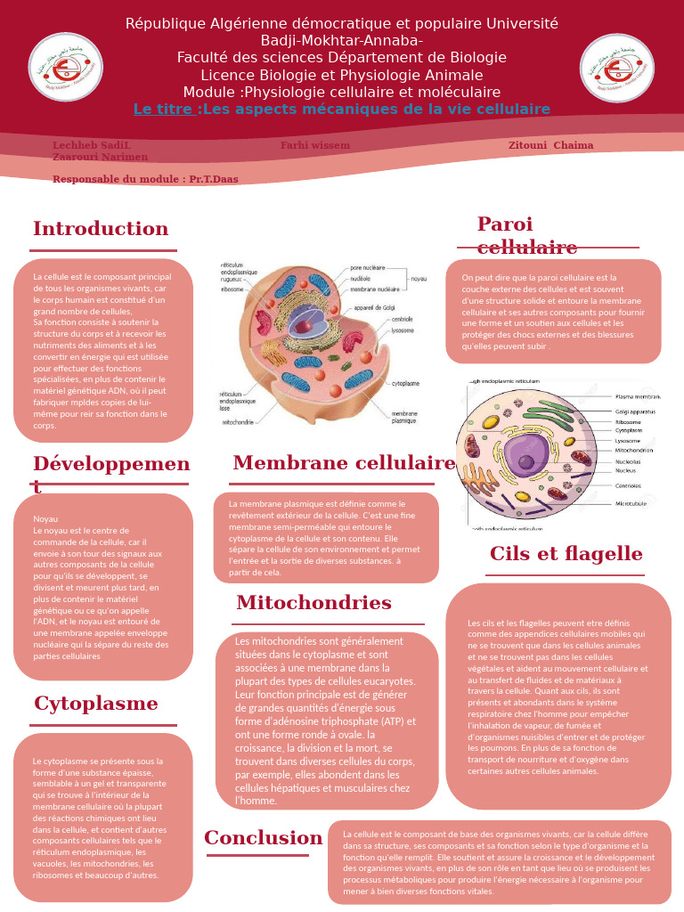 Poster Cellulaire | PDF | Cellule (Biologie) | Cytoplasme
