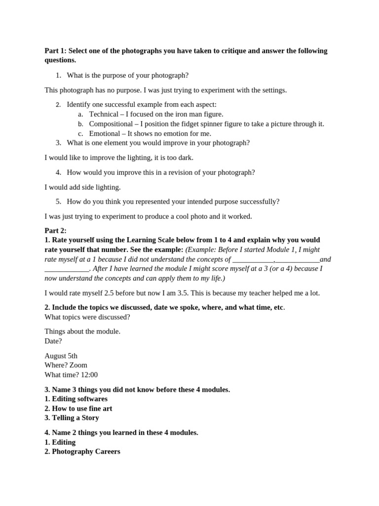 Photography Critique for Students | PDF