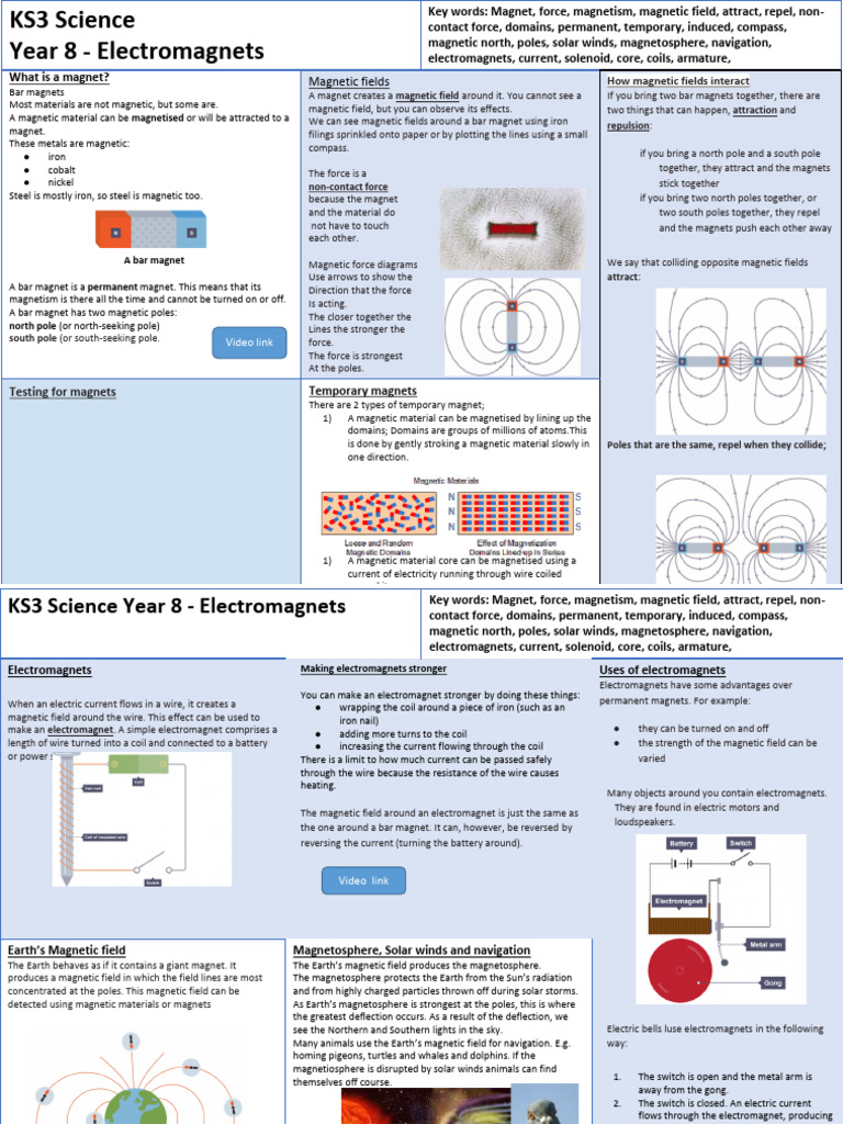 Y8 Science | PDF | Respiratory System | Lung