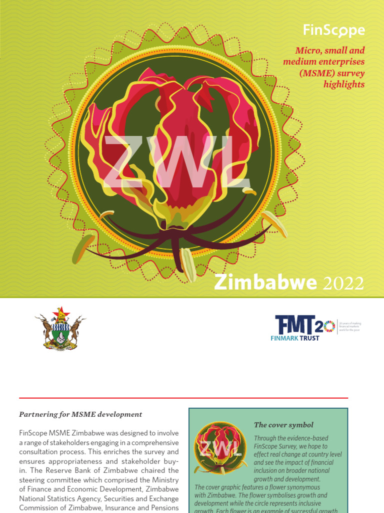 Zimbabwe FinScope MSME Survey Report 2022 | PDF | Small And Medium ...