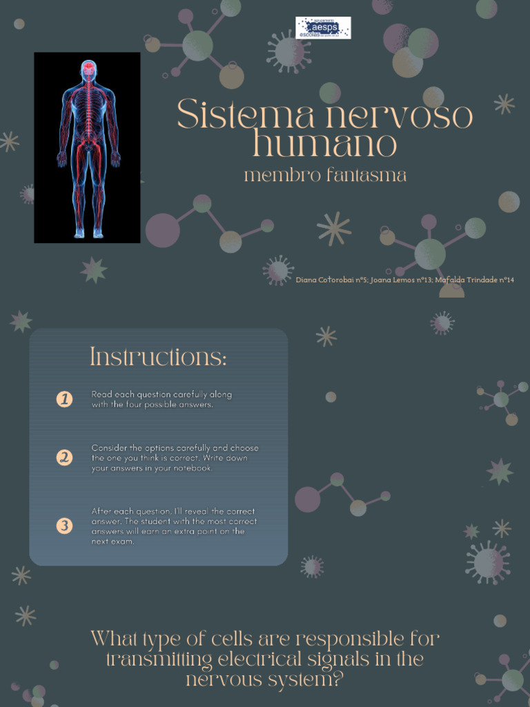 Nervous and Endocrine Systems Quiz Presentation in Colorful ...