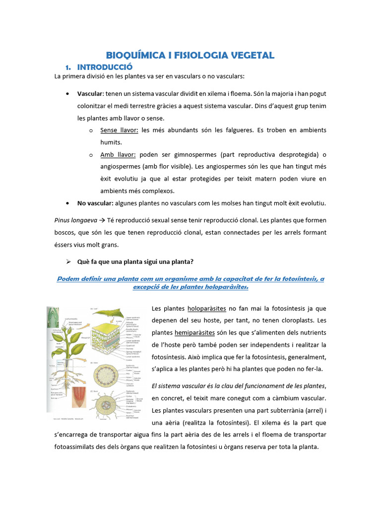 Apunts Bioquímica I Fisiologia Vegetal | PDF