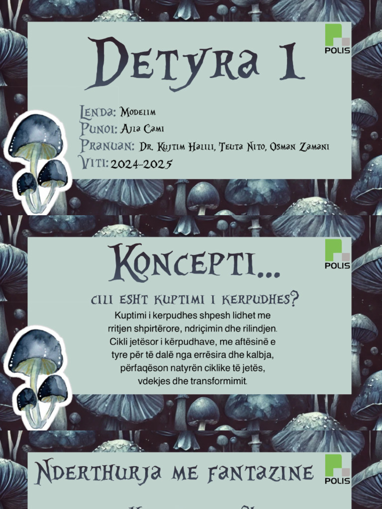 Modelim - Ajla Cami Detyra 1 | PDF | Home & Garden | Science & Mathematics