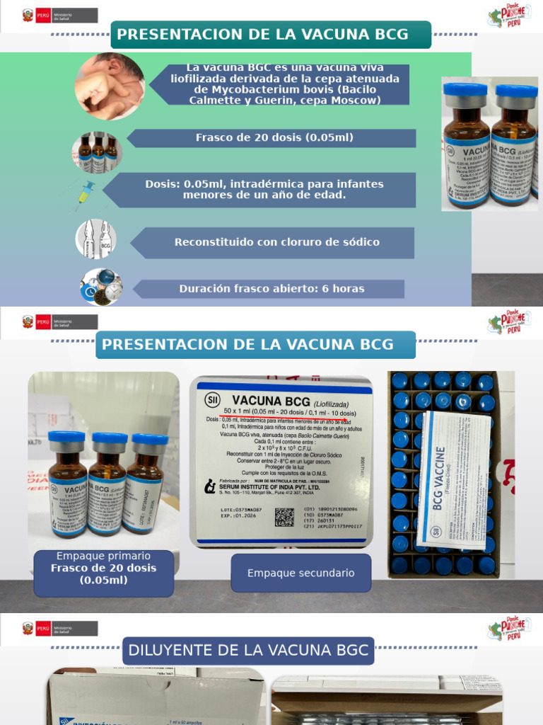Presentacion de La Vacuna BCG - 20 Dosis | PDF