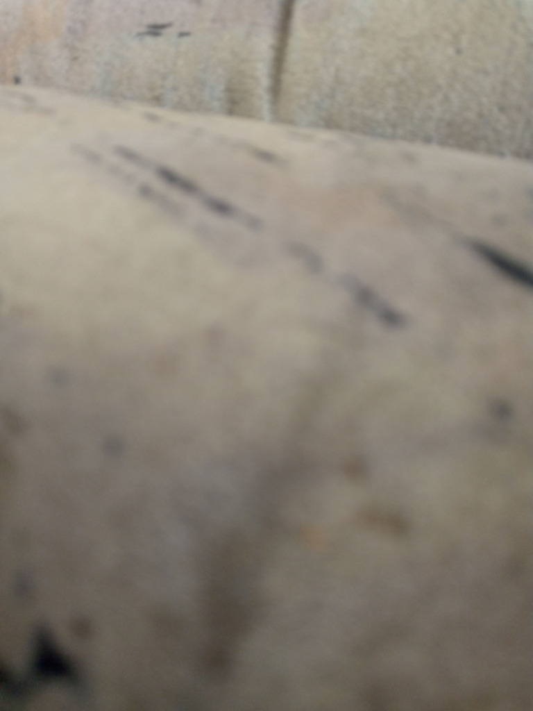 PDF 20241026 085007 | PDF