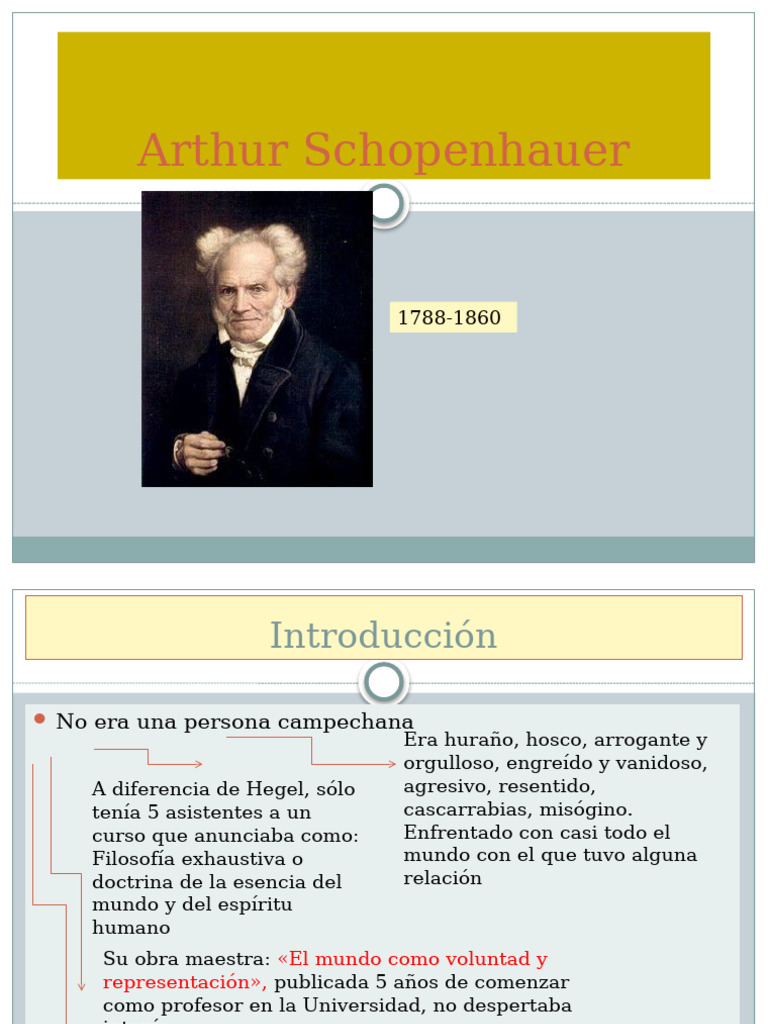 Arthur Schopenhauer | PDF | Noumenon | Experiencia