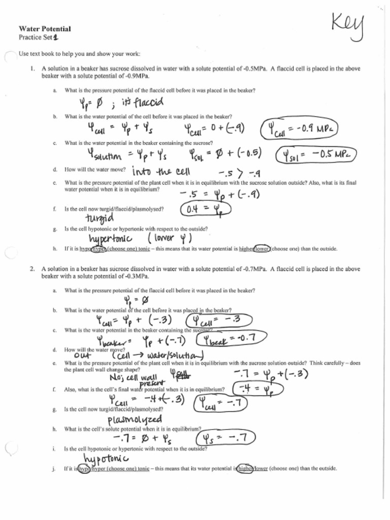 Water Potential Keys 1415 | PDF