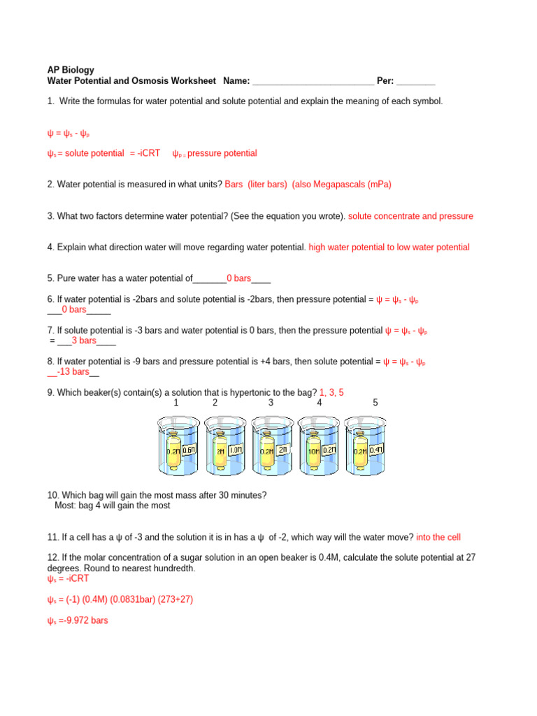 Water Potential and Osmosis Guide | PDF | Chemistry | Continuum Mechanics