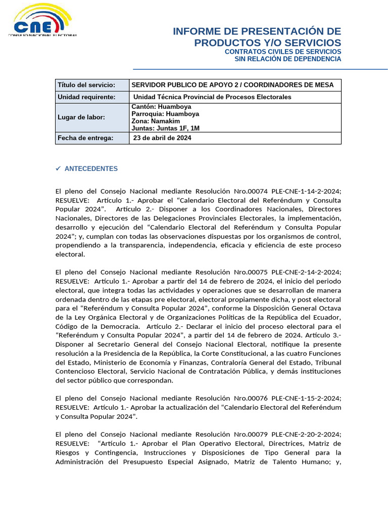 Informe Cne Jessi | PDF | Gobierno