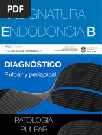 2da Clase - Endodoncia - Diagnostico Pulpar y Periapical | PDF | Odontología | Enfermedades y ...